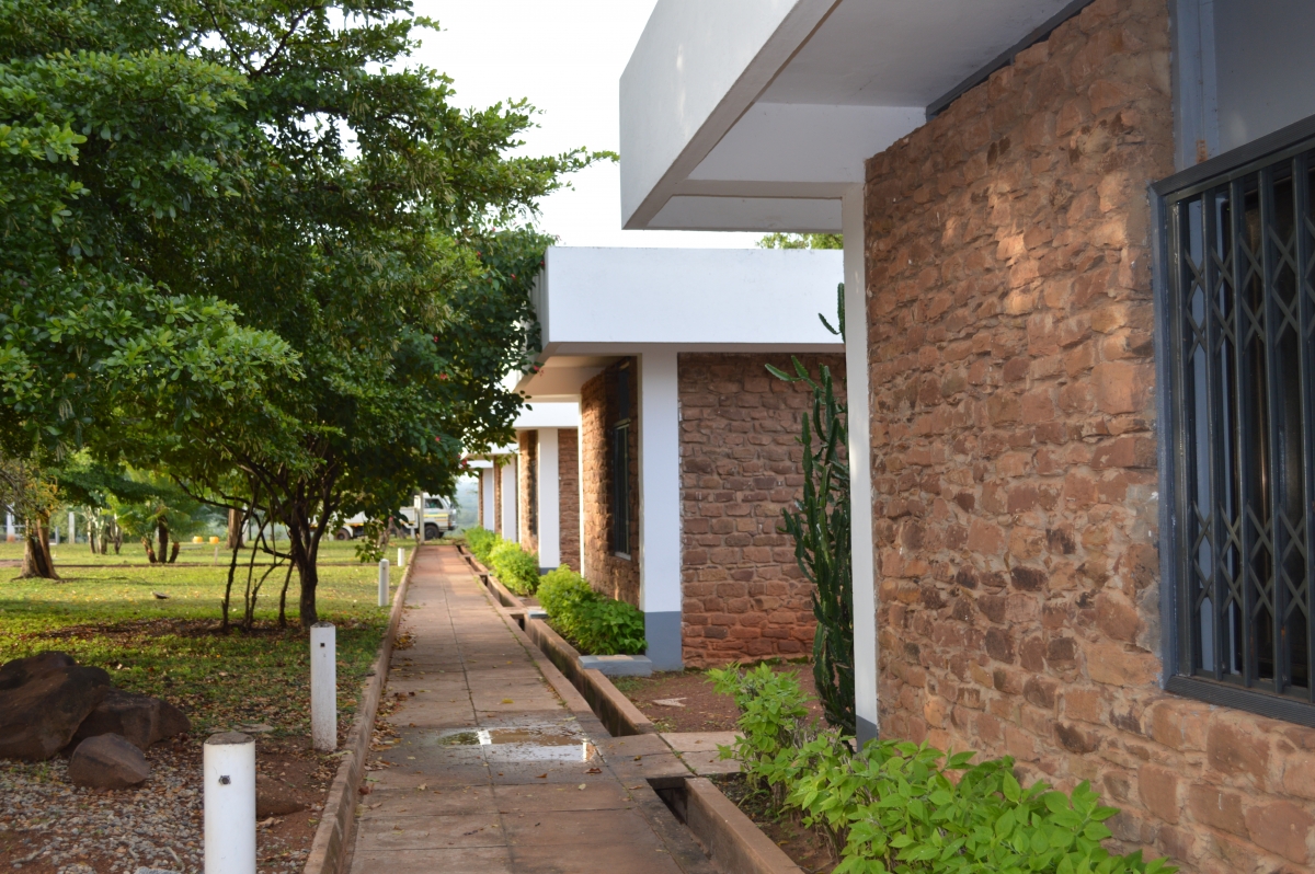 Mole National Park - Ghana. - Ghana - Safaritalk