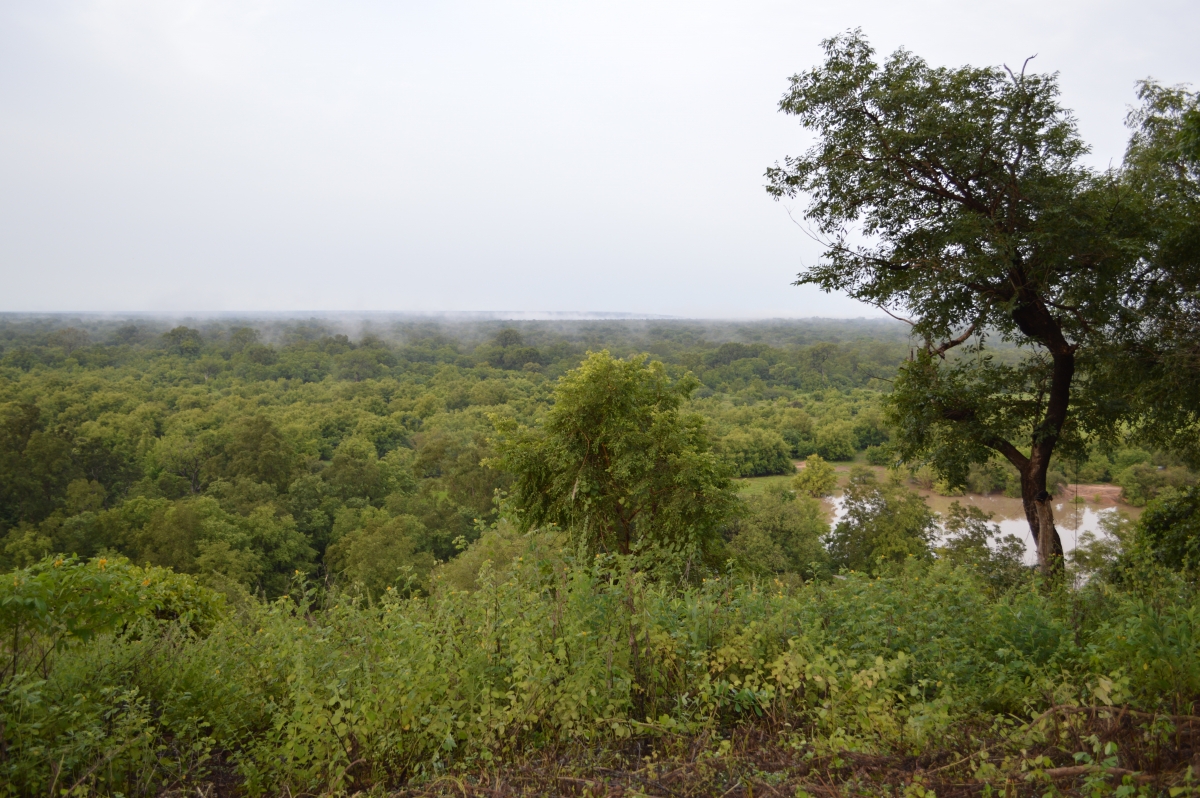 Mole National Park - Ghana. - Ghana - Safaritalk