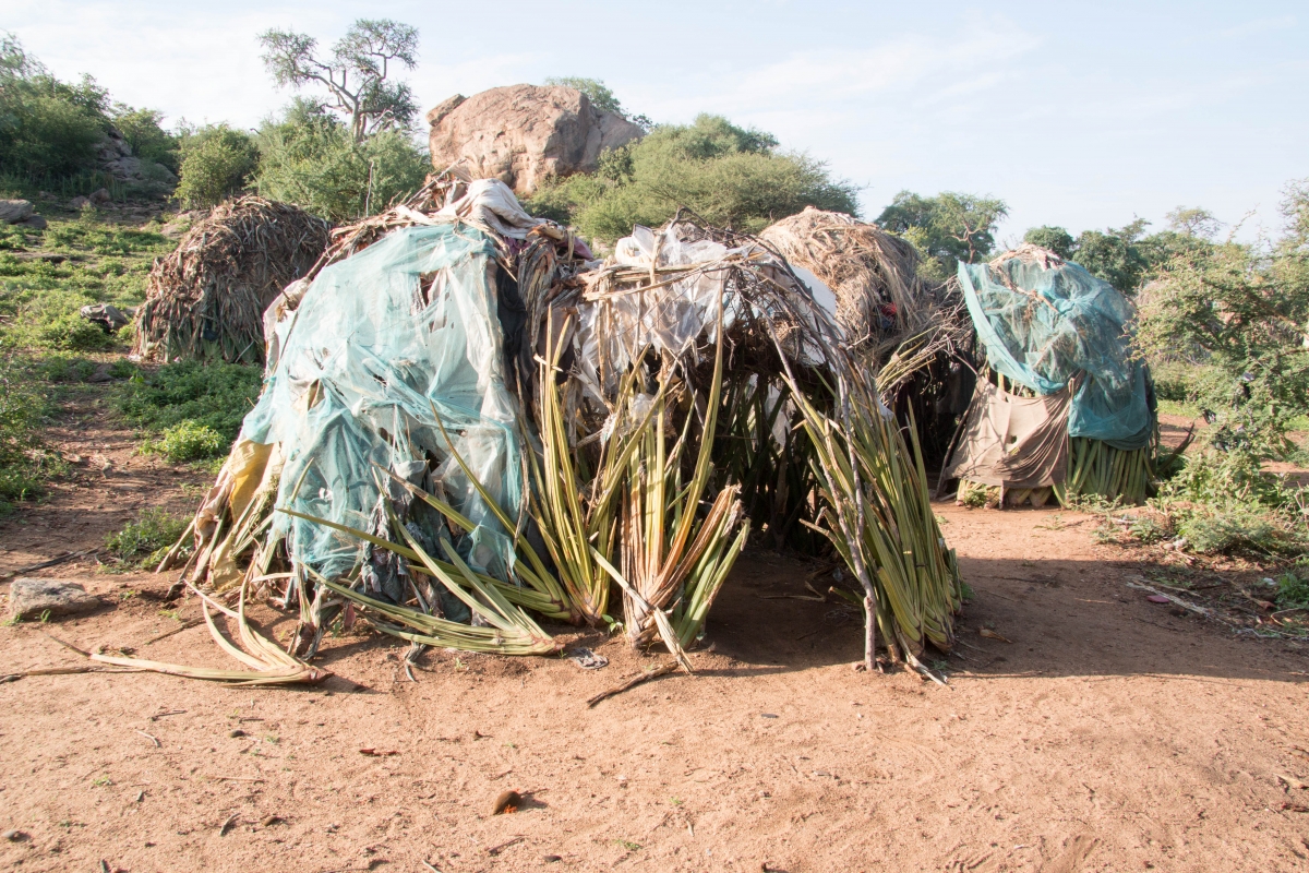 Christmas in Tanzania - Tanzania - Safaritalk