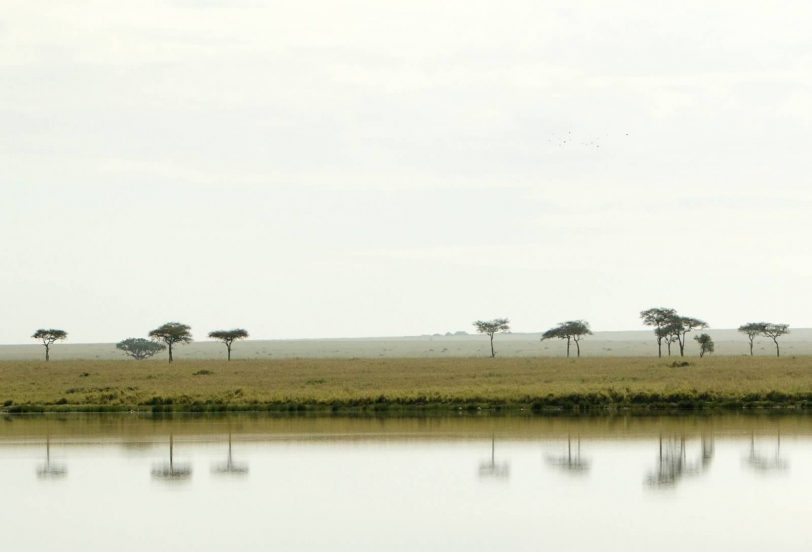 Christmas in Tanzania - Tanzania - Safaritalk