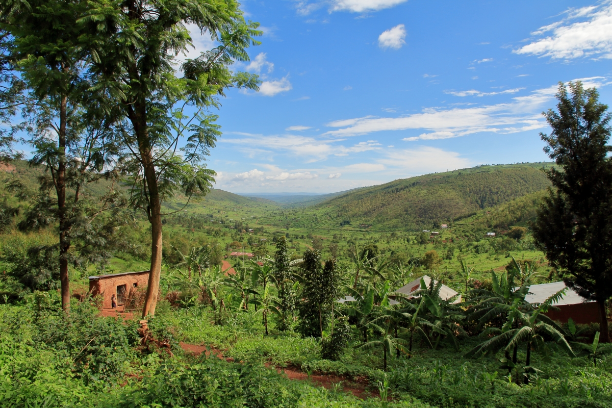 A Thousand Hills, A Million Smiles & Gentle Giants - a Rwanda and Kenya ...