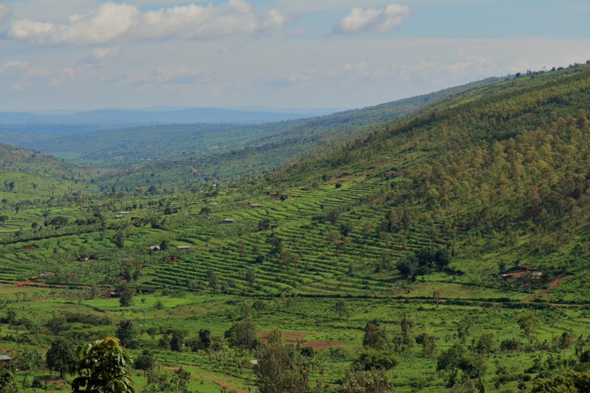 A Thousand Hills, A Million Smiles & Gentle Giants - a Rwanda and Kenya ...