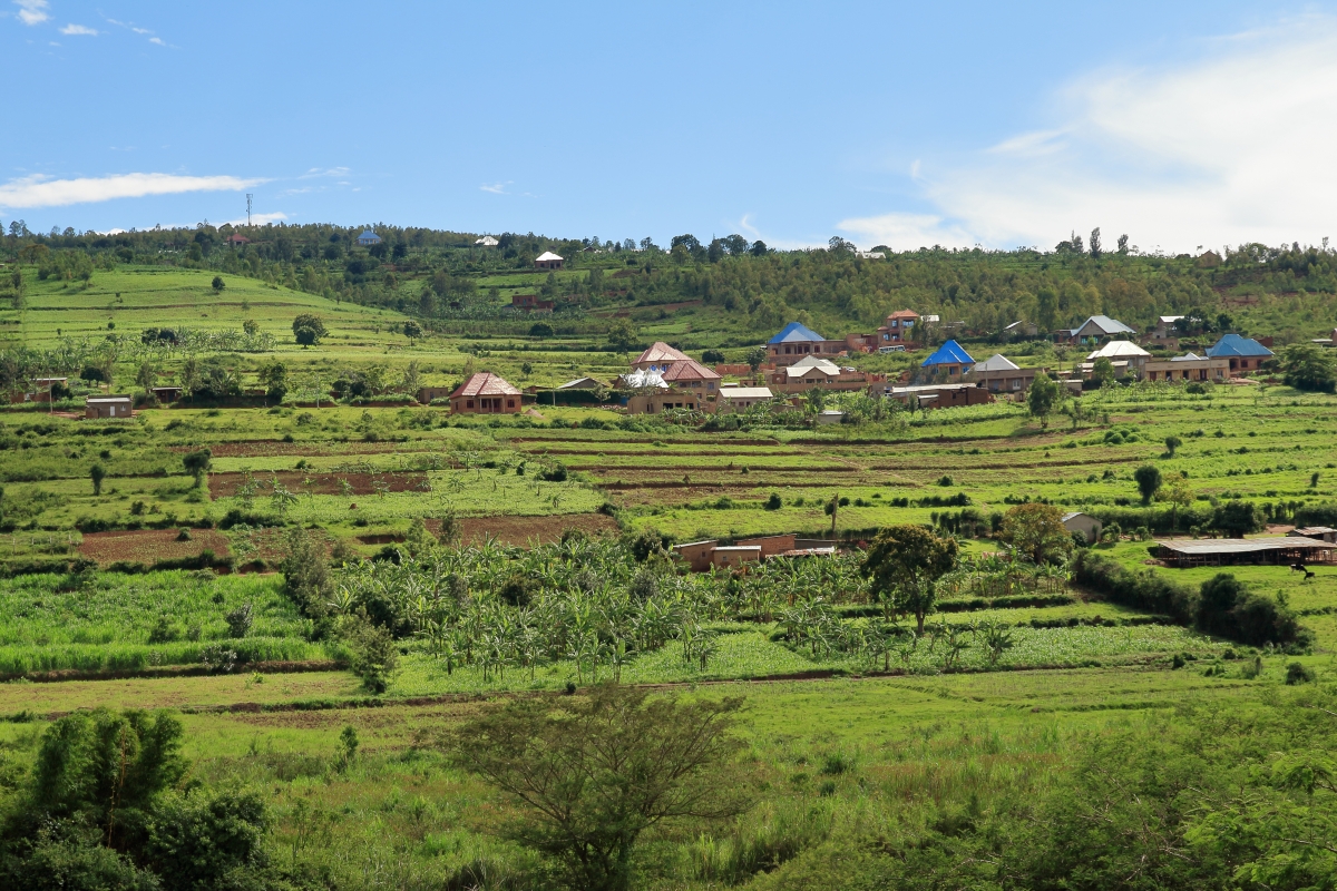 A Thousand Hills, A Million Smiles & Gentle Giants - a Rwanda and Kenya ...