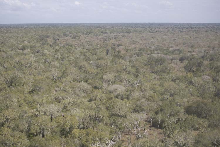 Ishaqbini Conservancy, Kenya - July 2011 - Kenya - Safaritalk