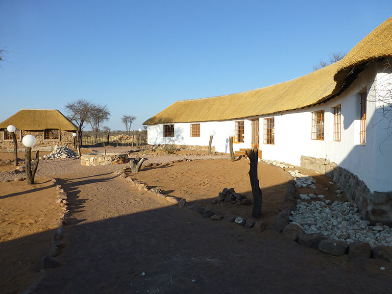 A game of cats and elephants - Namibia - Safaritalk
