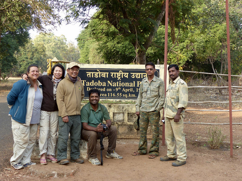Crouching Tiger, Hidden Cubs - India - Safaritalk