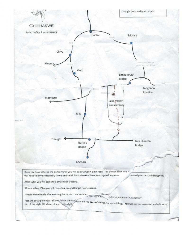 Chishakwe in Save Valley Conservancy, 4.5 hrs from Harare. WILD DOGS ...
