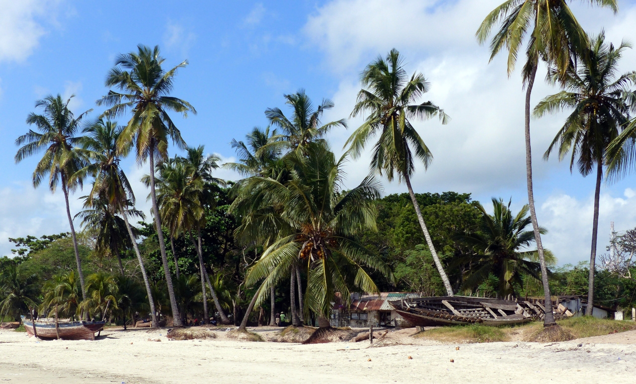 ‘zania, Zanzibar, Zambia and ZA (mostly overland) : 8 weeks of fur ...