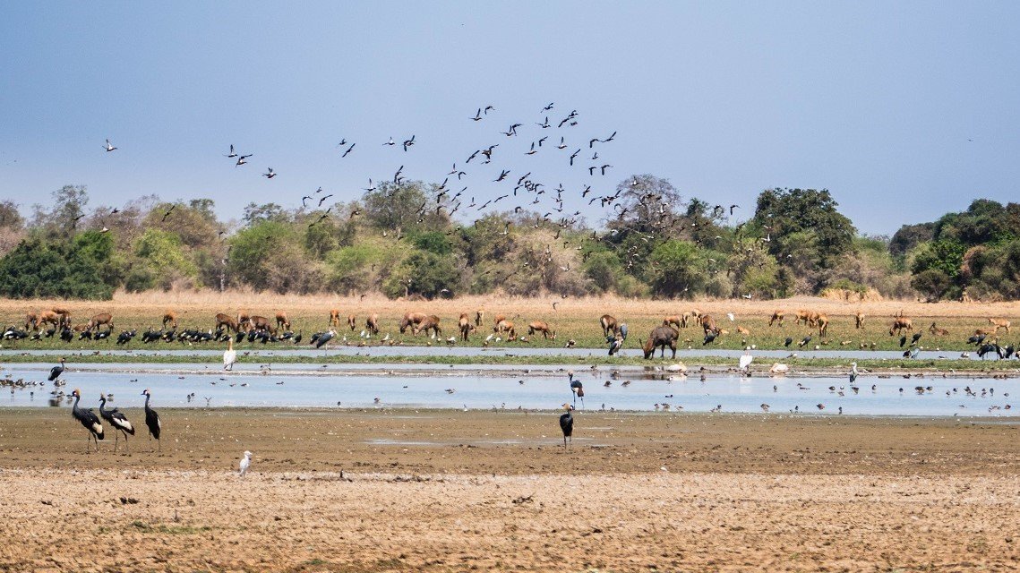 Chad 2019 - Central African Savannah and Wonders of the Sahara - Chad ...