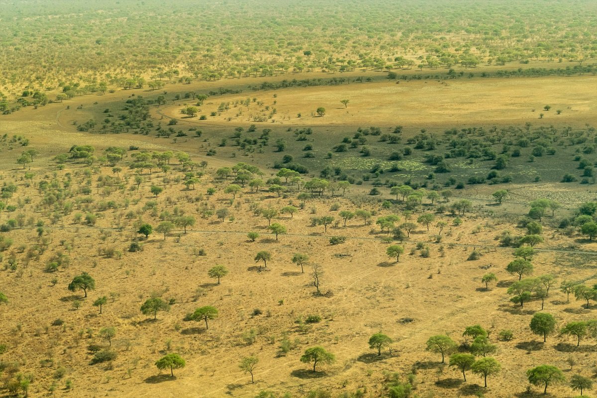 Chad 2019 - Central African Savannah and Wonders of the Sahara - Chad ...