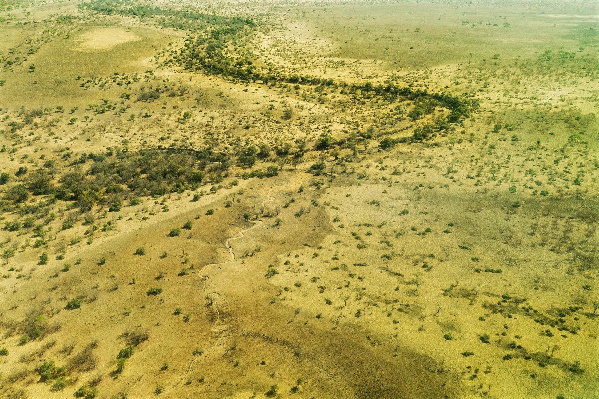 Chad 2019 - Central African Savannah and Wonders of the Sahara - Chad ...