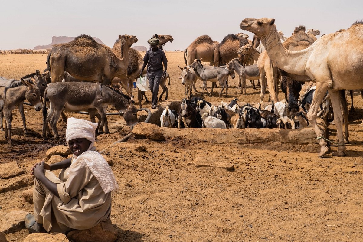 Chad 2019 - Central African Savannah and Wonders of the Sahara - Page 2 ...