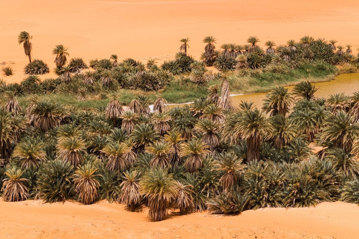 Chad 2019 - Central African Savannah and Wonders of the Sahara - Page 2 ...