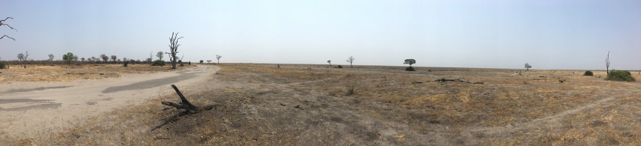 Botswana Mobile Safari with Alwyn Myburgh - Page 2 - Botswana - Safaritalk