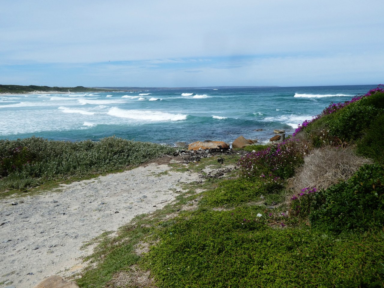 Spring on King : a Bass Strait island break - Australasia and Pacific ...