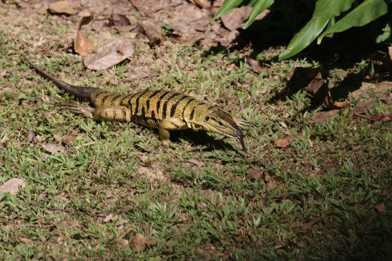 St Lucia Trinidad and Tobago - South/Central America inc. Caribbean ...