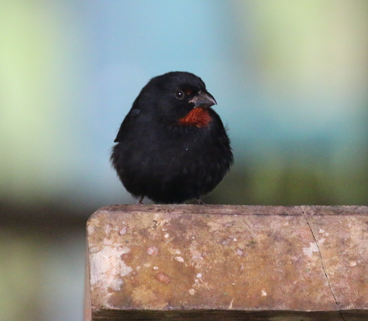 St Lucia Trinidad and Tobago - South/Central America inc. Caribbean ...