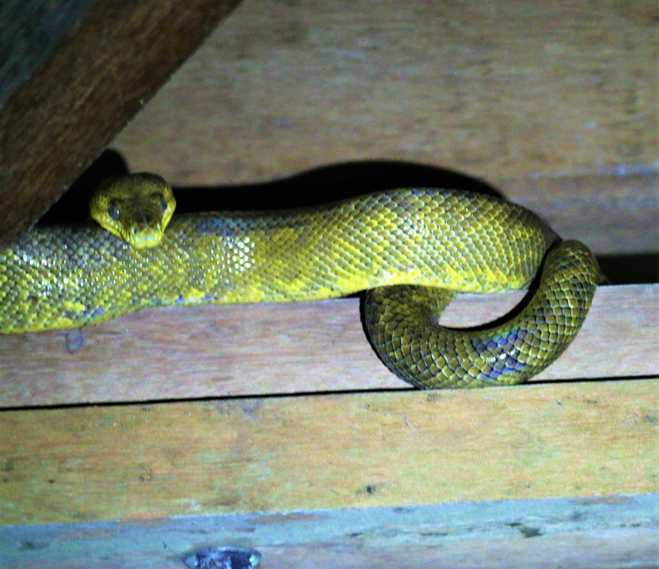 St Lucia Trinidad and Tobago - South/Central America inc. Caribbean ...