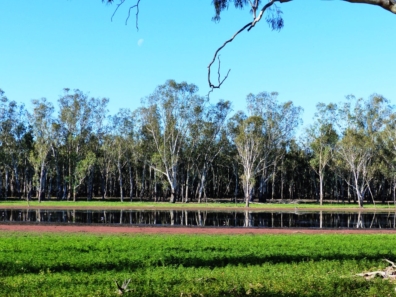 Western Victoria re-visited : from Ouyen to the ocean - Australasia and ...