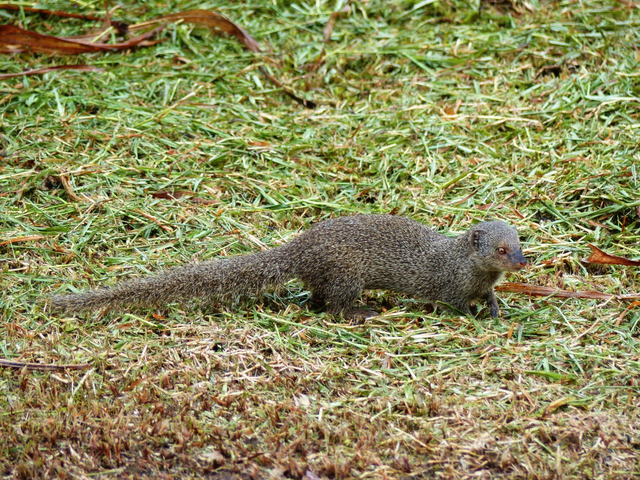 Blown away in Fiji - Australasia and Pacific - Safaritalk