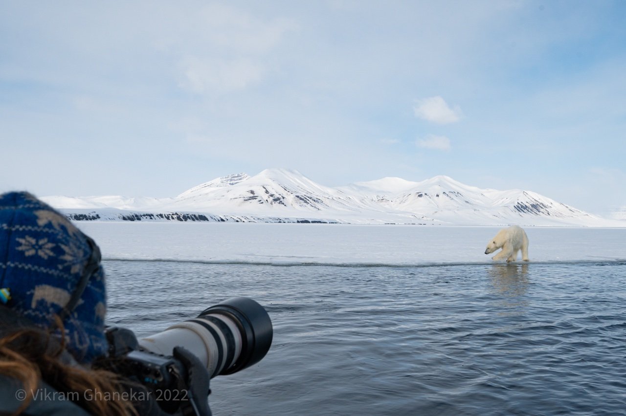 Svalbard (me too) - Europe - Safaritalk