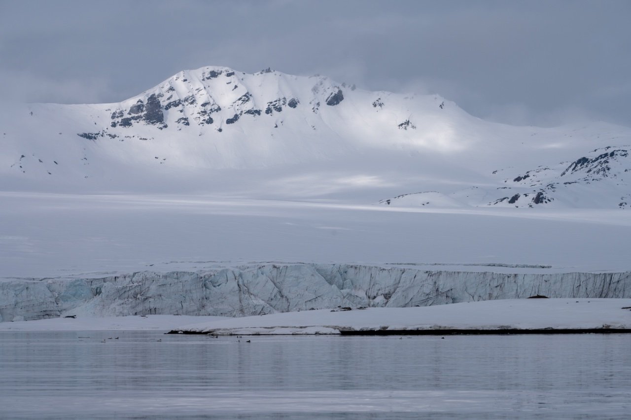 Late in two ways - Svalbard in the Spring - Europe - Safaritalk