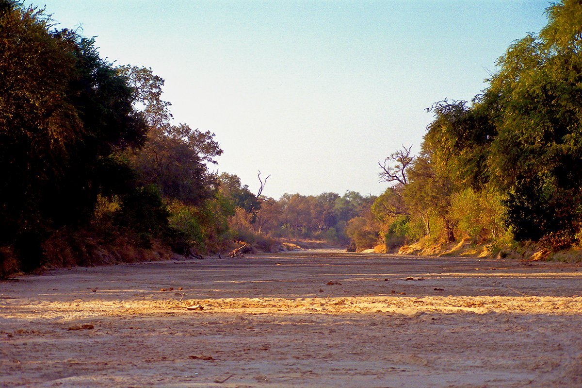 Chapter 2: Samburu & Chizarira - Historical trip reports - Safaritalk