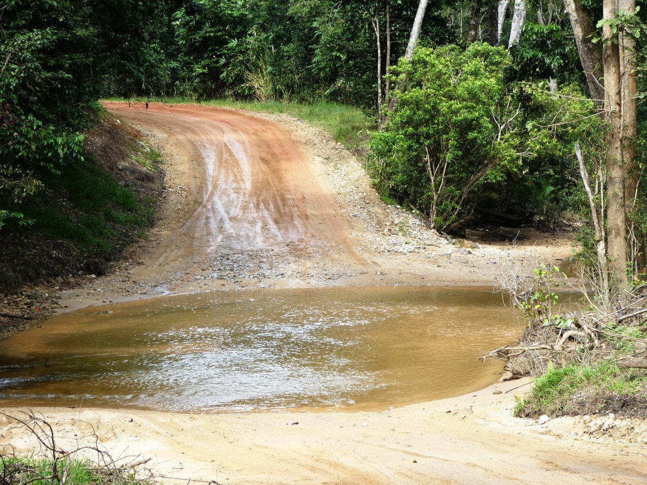 Queensland, Cairns and Cape York : Kingfishers, cockatoos and ...