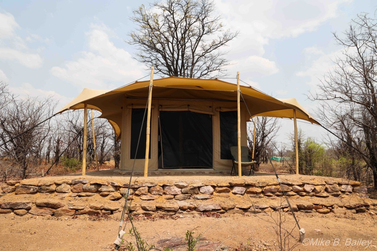 Hwange with Julian Brookstein at Chitubu Camp - Zimbabwe - Safaritalk