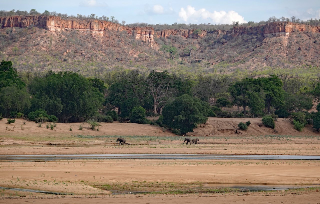 Misty Mountains of the Vumba & the Vast Wilderness of Gonarezhou - Page ...