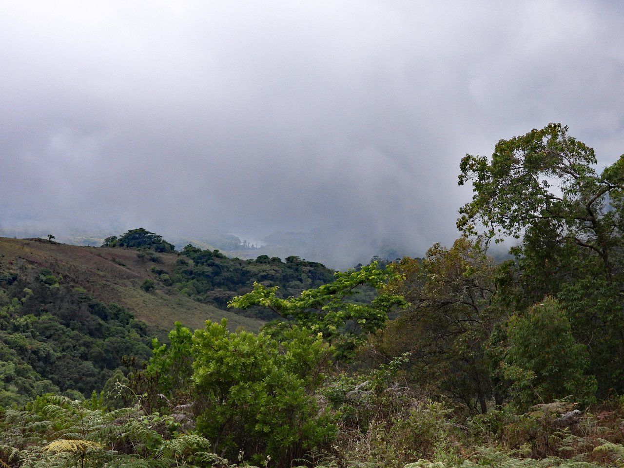 Misty Mountains of the Vumba & the Vast Wilderness of Gonarezhou ...