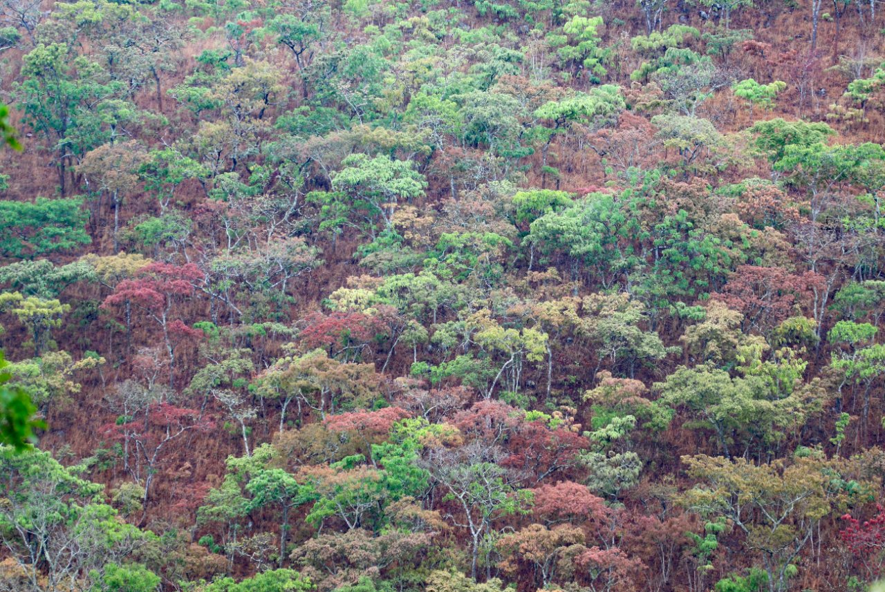 Misty Mountains of the Vumba & the Vast Wilderness of Gonarezhou ...