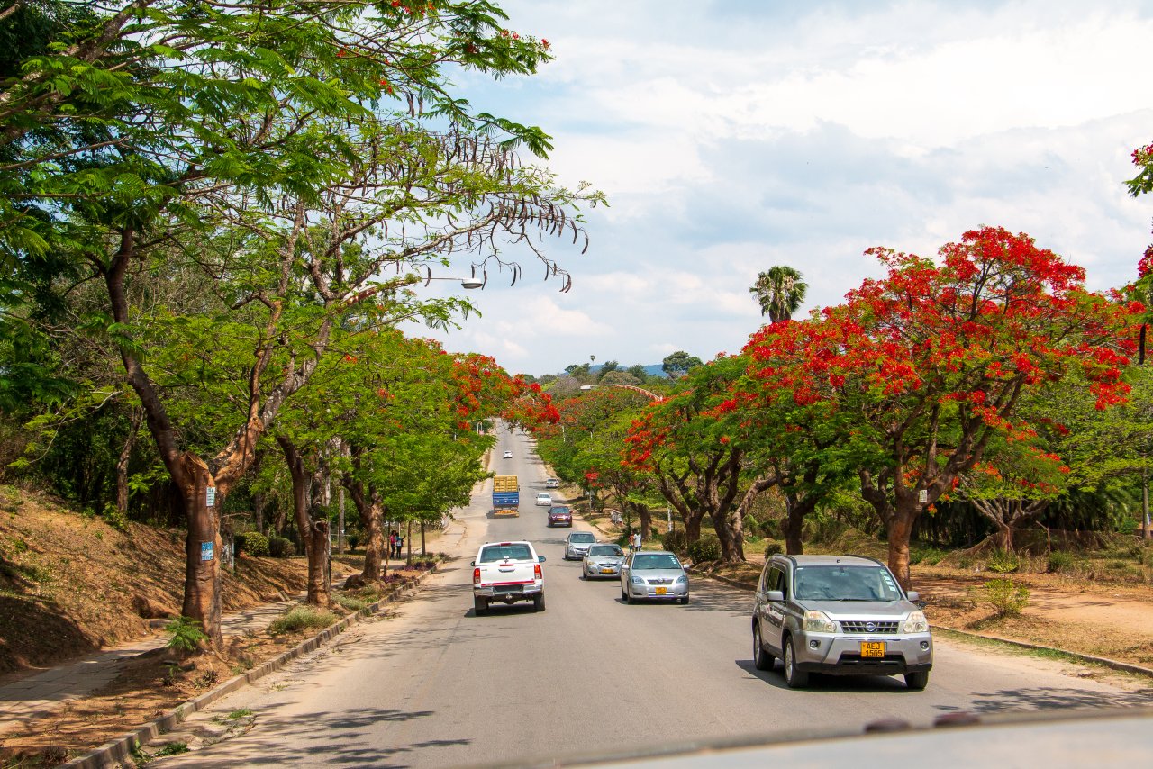 Misty Mountains of the Vumba & the Vast Wilderness of Gonarezhou ...