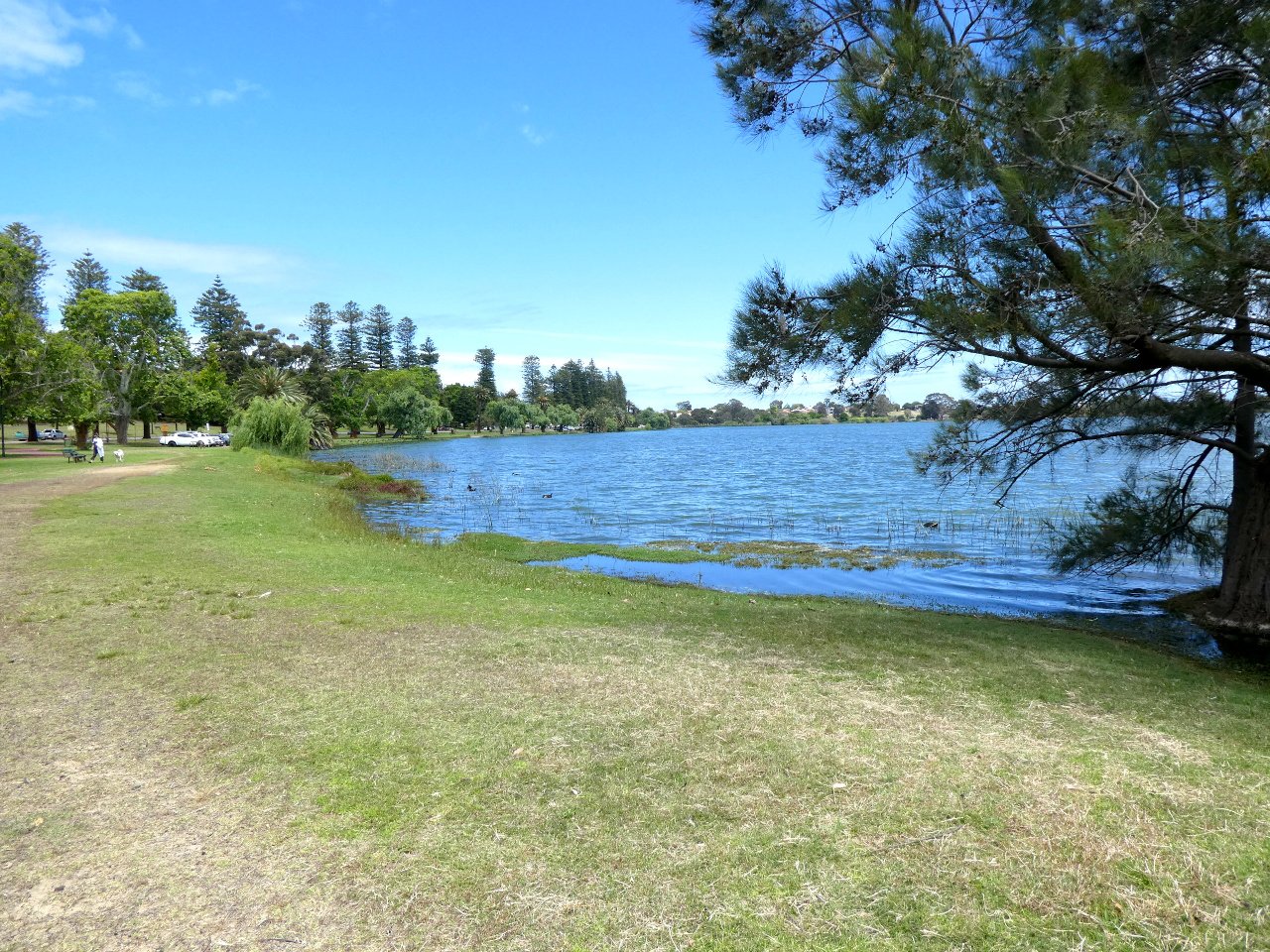Coast, quokkas and cockatoos : southwest Western Australia ...