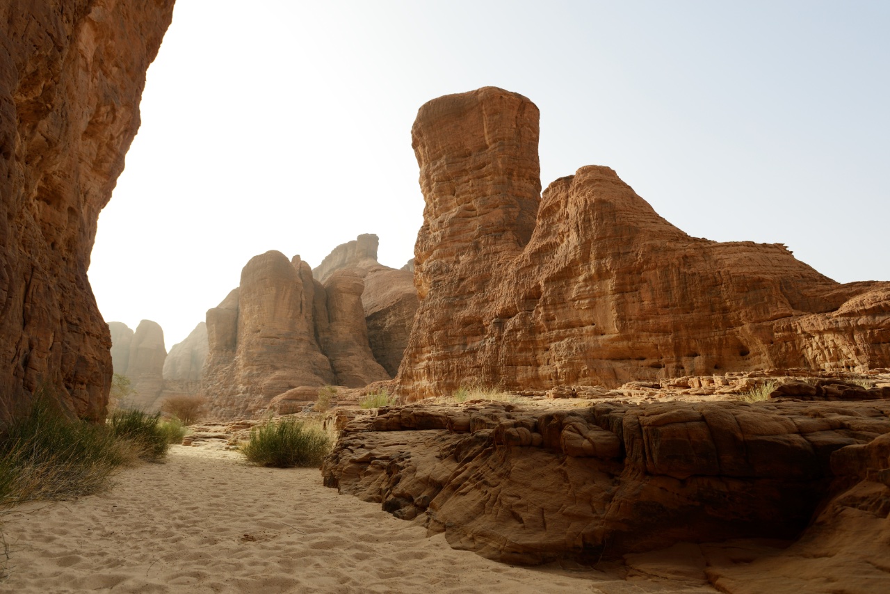 Ennedi, Ouadi-Rime and Zakouma - Chad 2023 - Chad / Central African ...