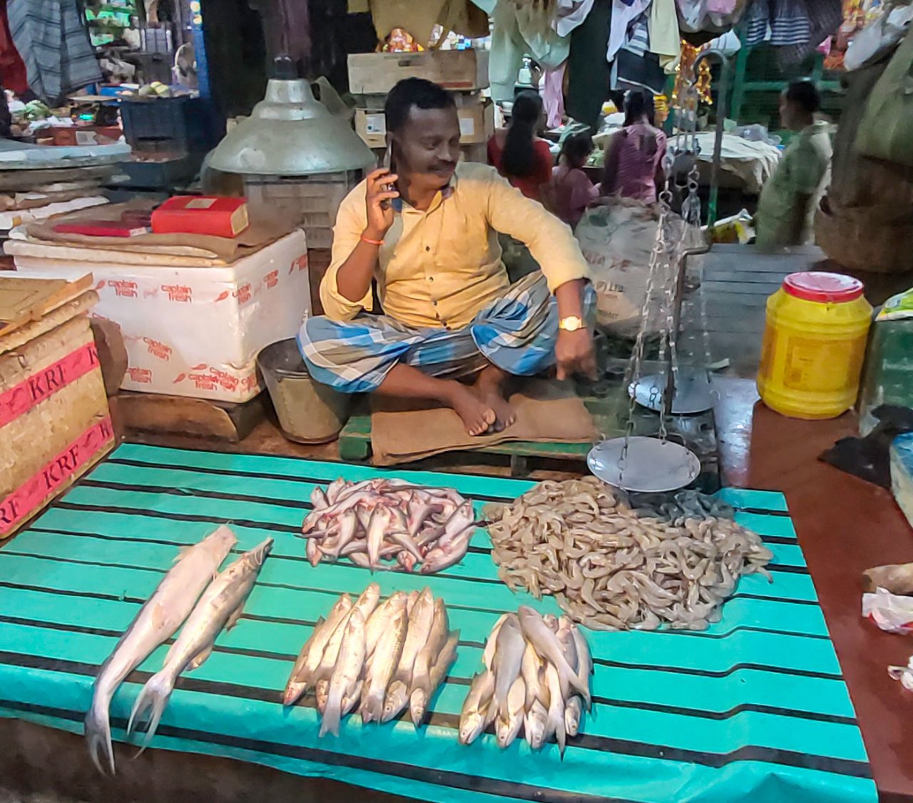 Kolkata, Sundarban and Assam - India - Safaritalk