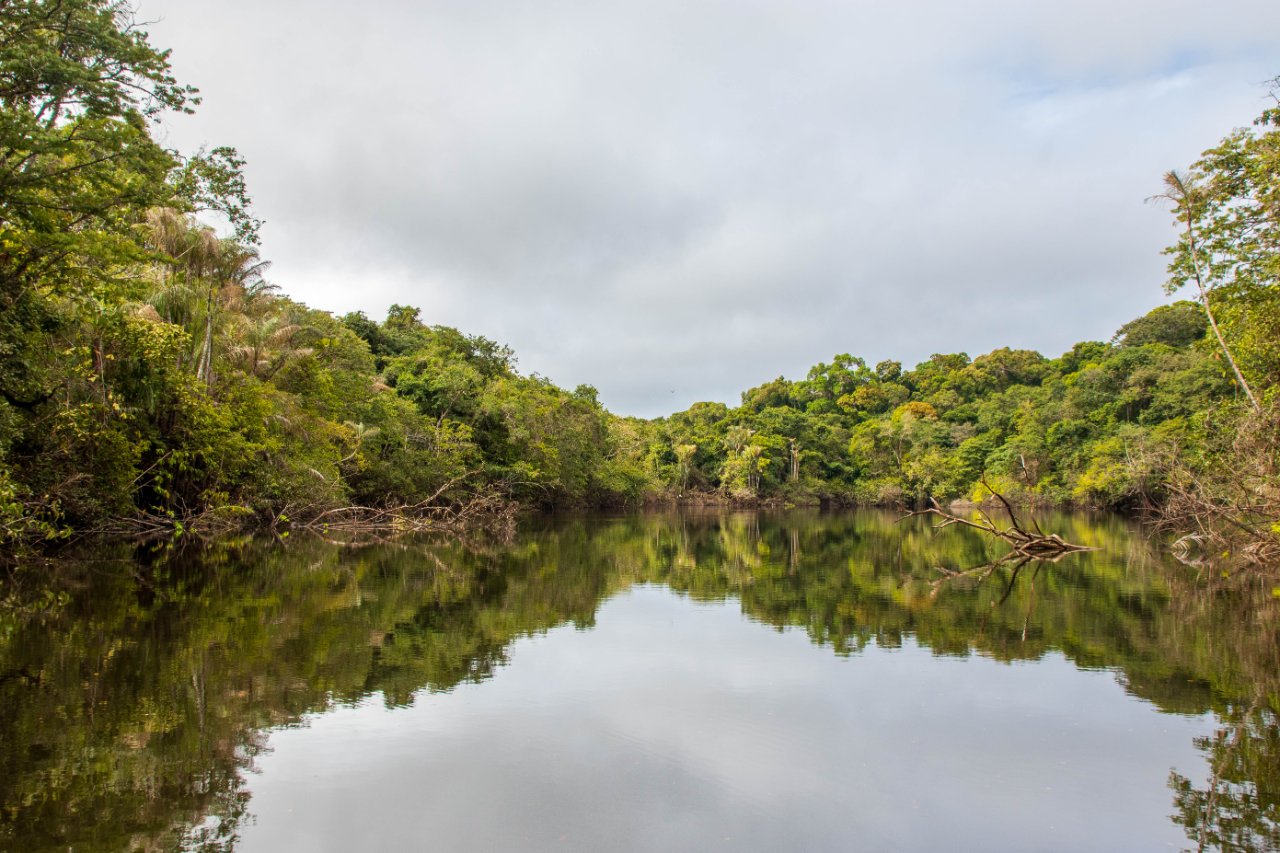 Guyana - Where Rainforest Meets Savanna - Page 2 - South/Central ...