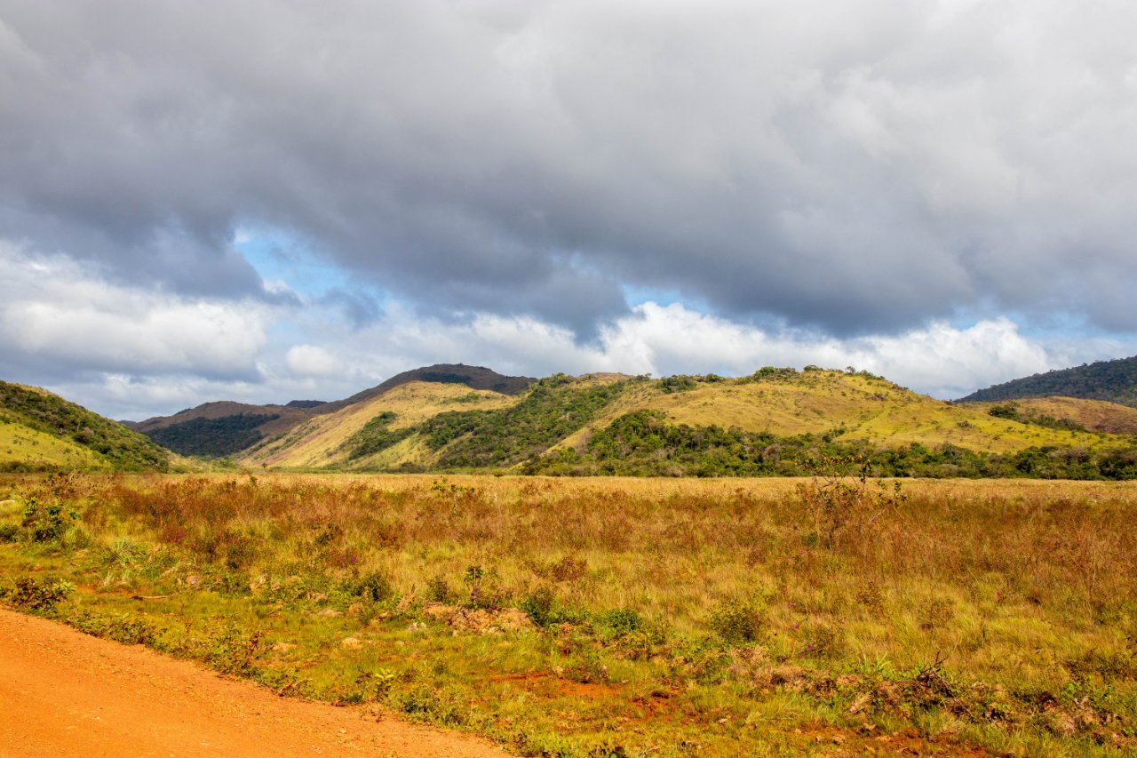 Guyana - Where Rainforest Meets Savanna - South/Central America inc ...