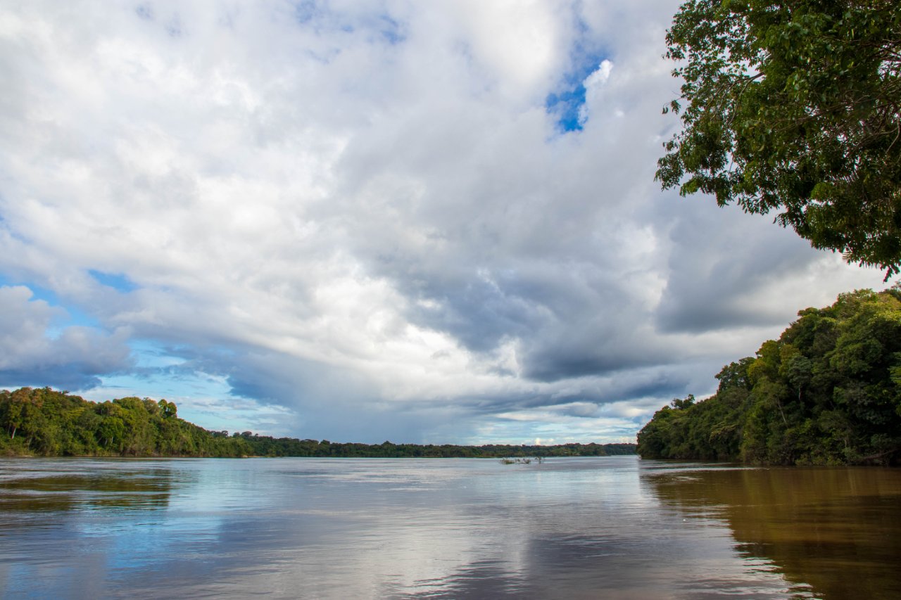 Guyana - Where Rainforest Meets Savanna - Page 2 - South/Central ...