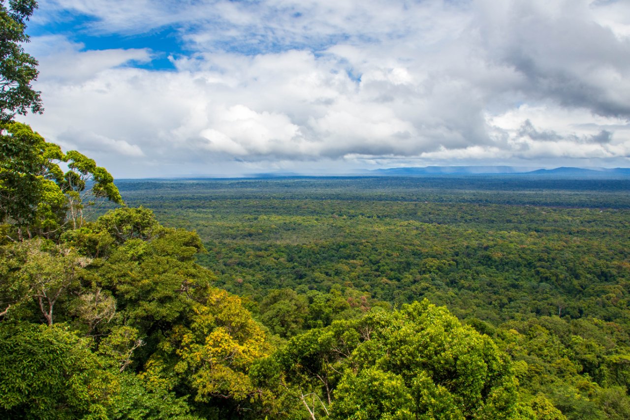 Guyana - Where Rainforest Meets Savanna - South/Central America inc ...