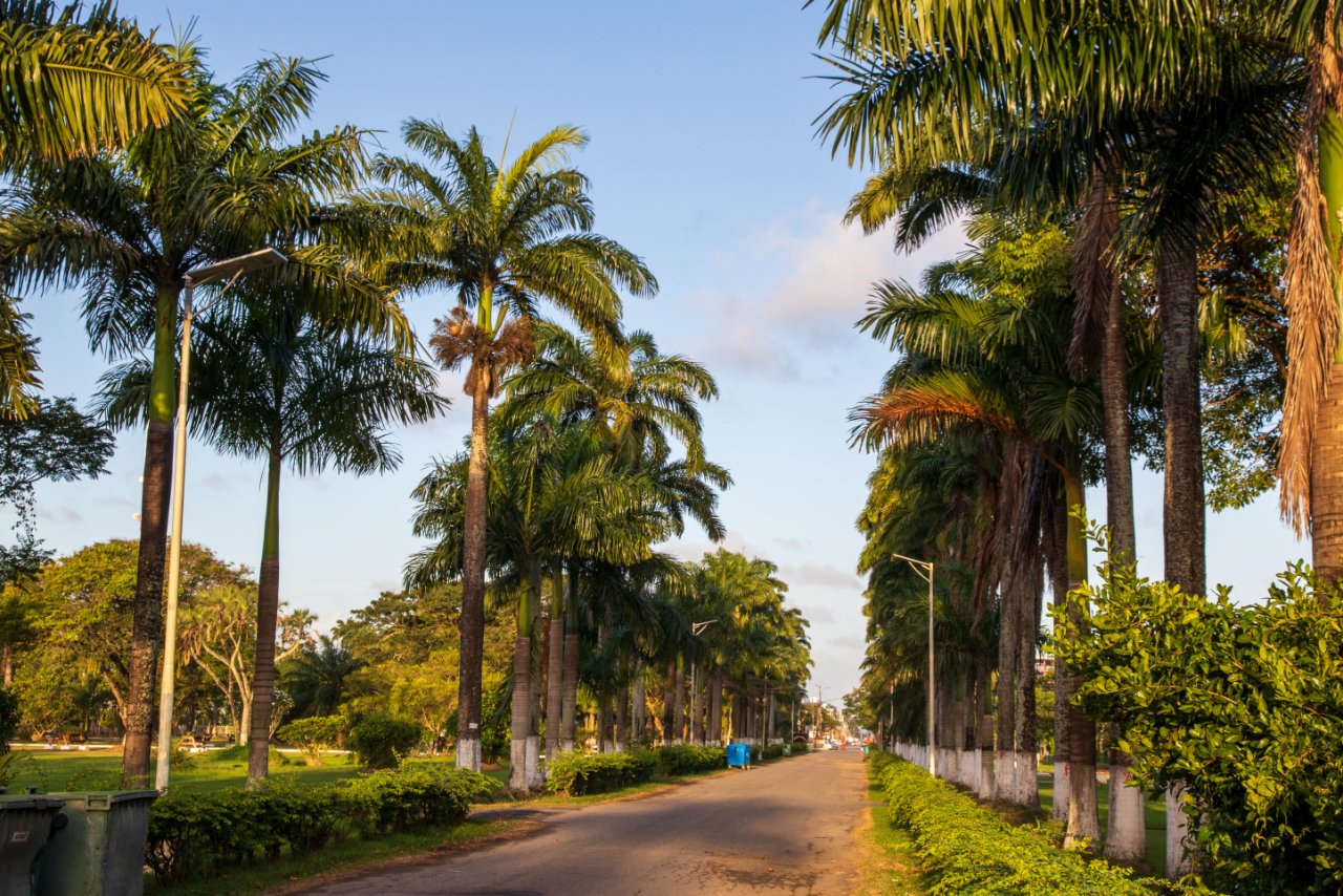 Guyana - Where Rainforest Meets Savanna - South/Central America inc ...