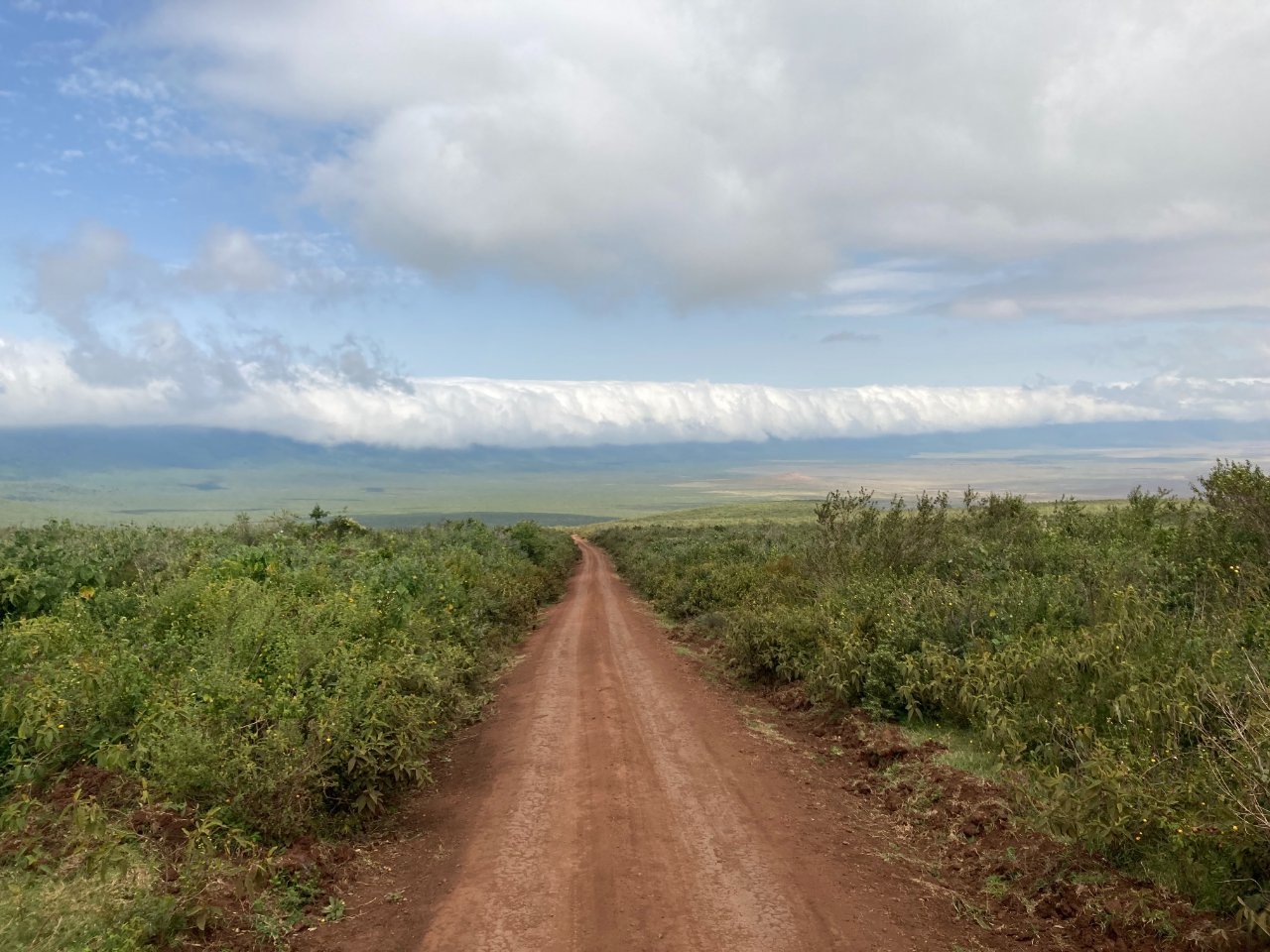 Hooked on Safari after doing Ndutu, Tarangine and Ngorongoro crater ...