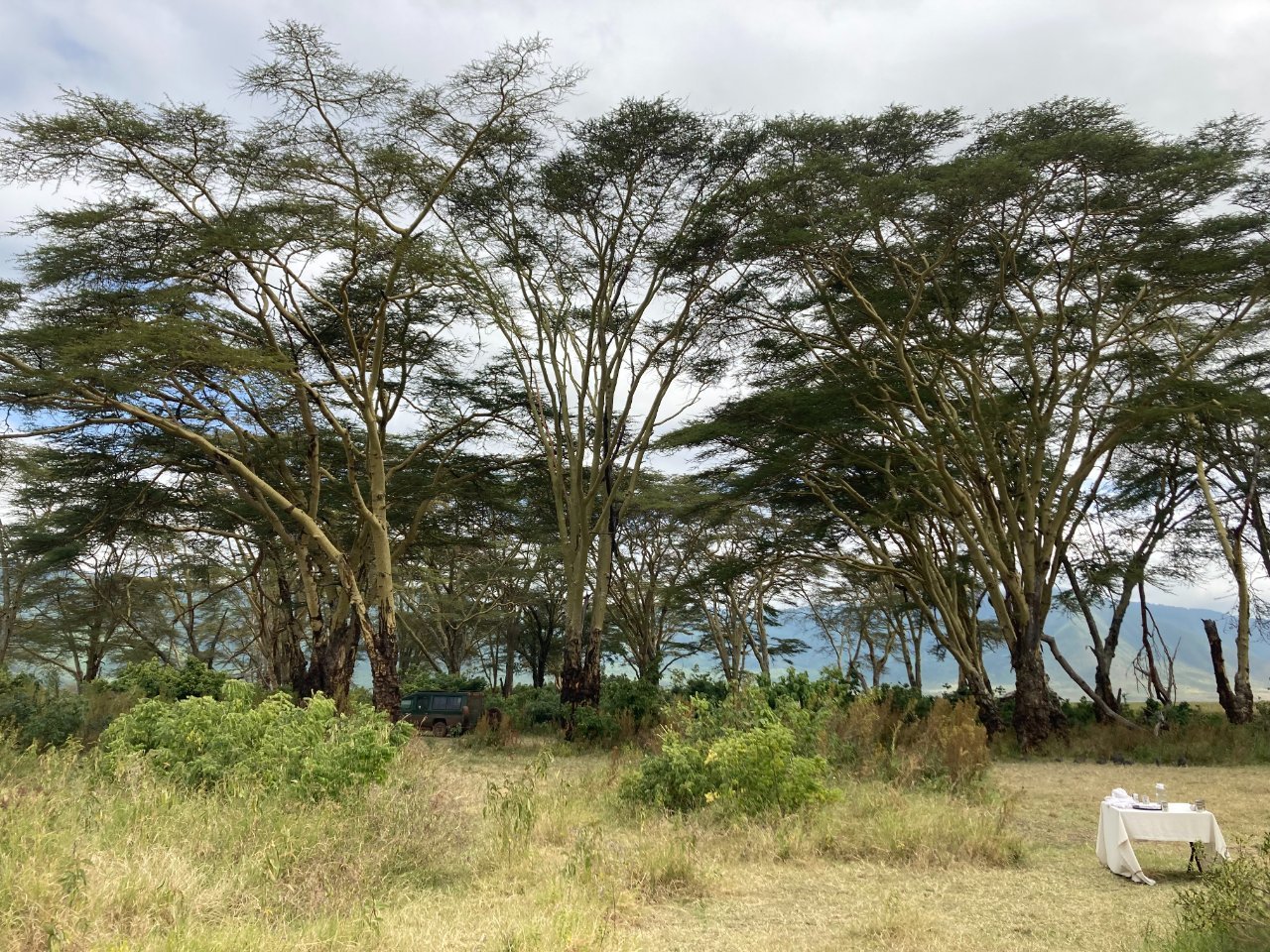 Hooked on Safari after doing Ndutu, Tarangine and Ngorongoro crater ...