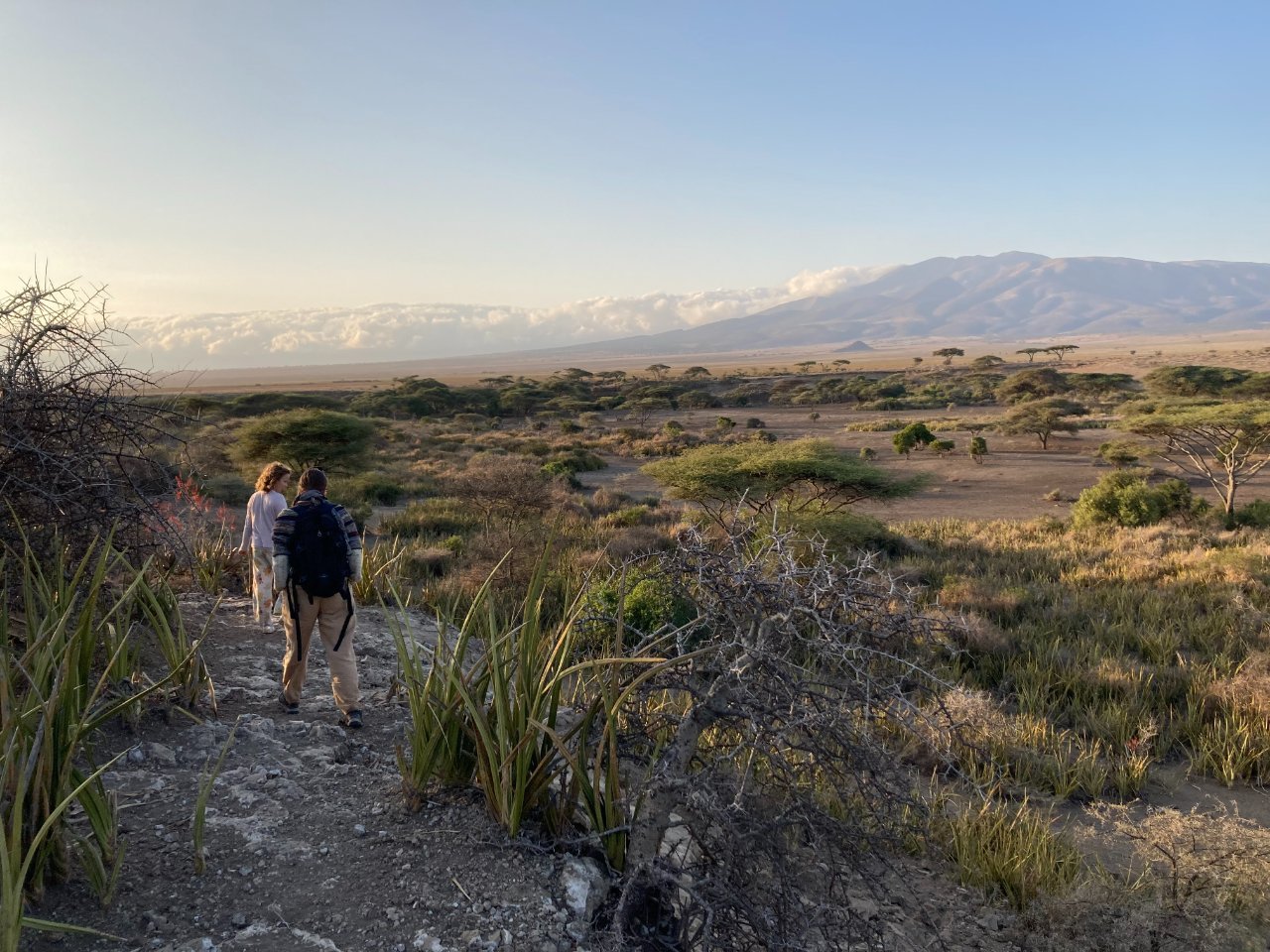 Hooked on Safari after doing Ndutu, Tarangine and Ngorongoro crater ...