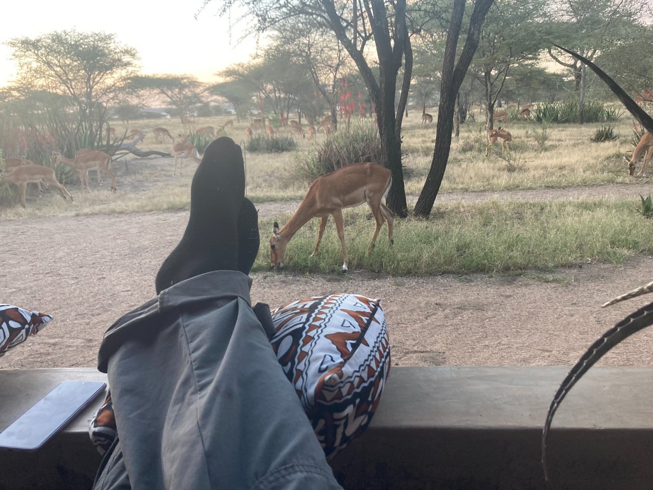 Hooked on Safari after doing Ndutu, Tarangine and Ngorongoro crater ...
