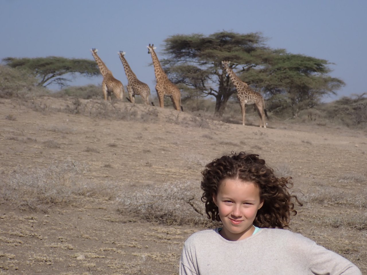 Hooked on Safari after doing Ndutu, Tarangine and Ngorongoro crater ...