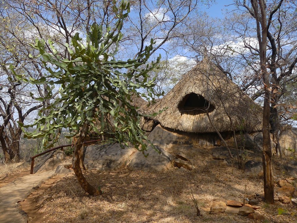 A Kenyan Trio! - Kenya - Safaritalk