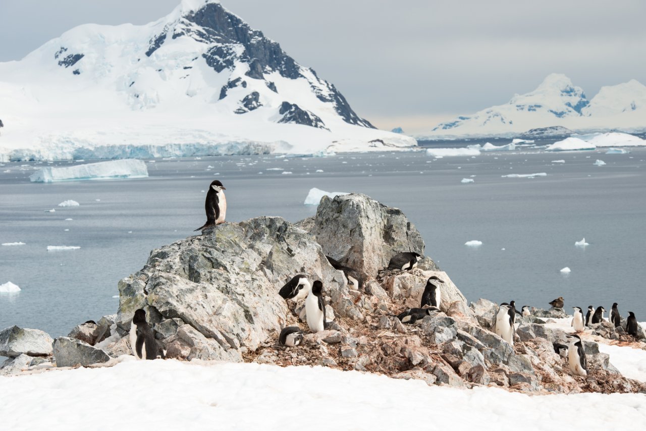 Antarctica Base Camp Expedition with Oceanwide - Antarctica - Safaritalk