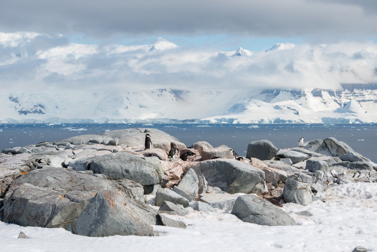 Antarctica Base Camp Expedition with Oceanwide - Antarctica - Safaritalk