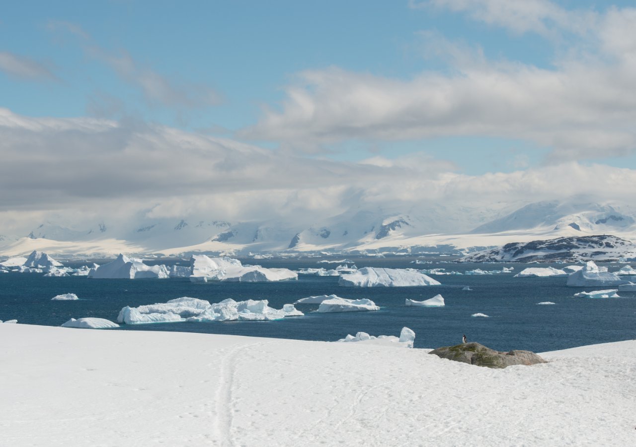 Antarctica Base Camp Expedition with Oceanwide - Antarctica - Safaritalk